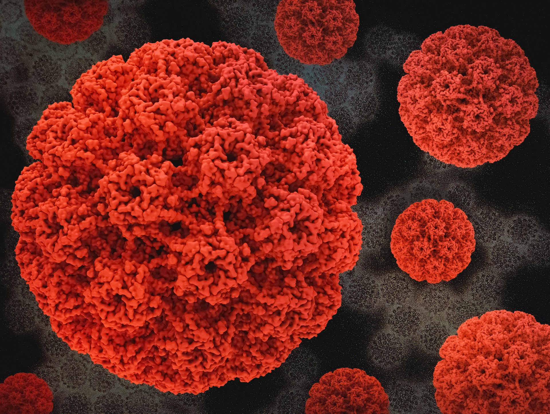 Todo lo que necesita saber sobre el Virus del Papiloma Humano (VPH ...